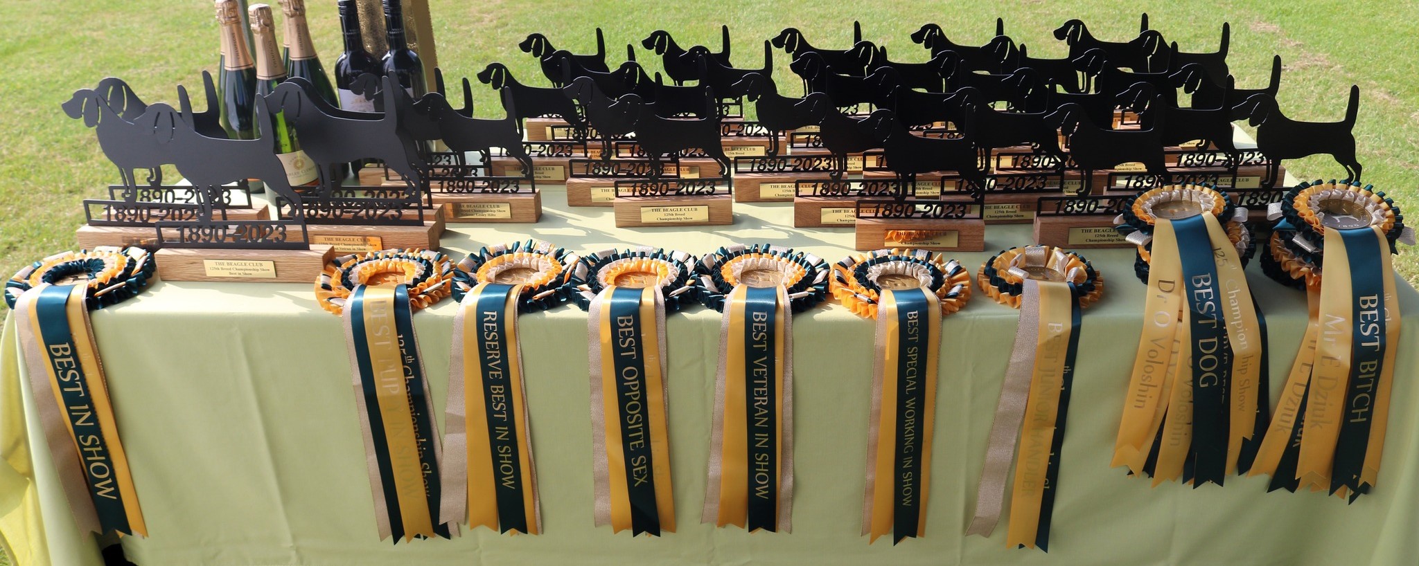 Show Results – THE BEAGLE CLUB