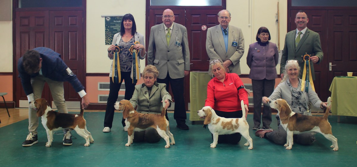 Championship Show Results: 30th August 2024 – THE BEAGLE CLUB