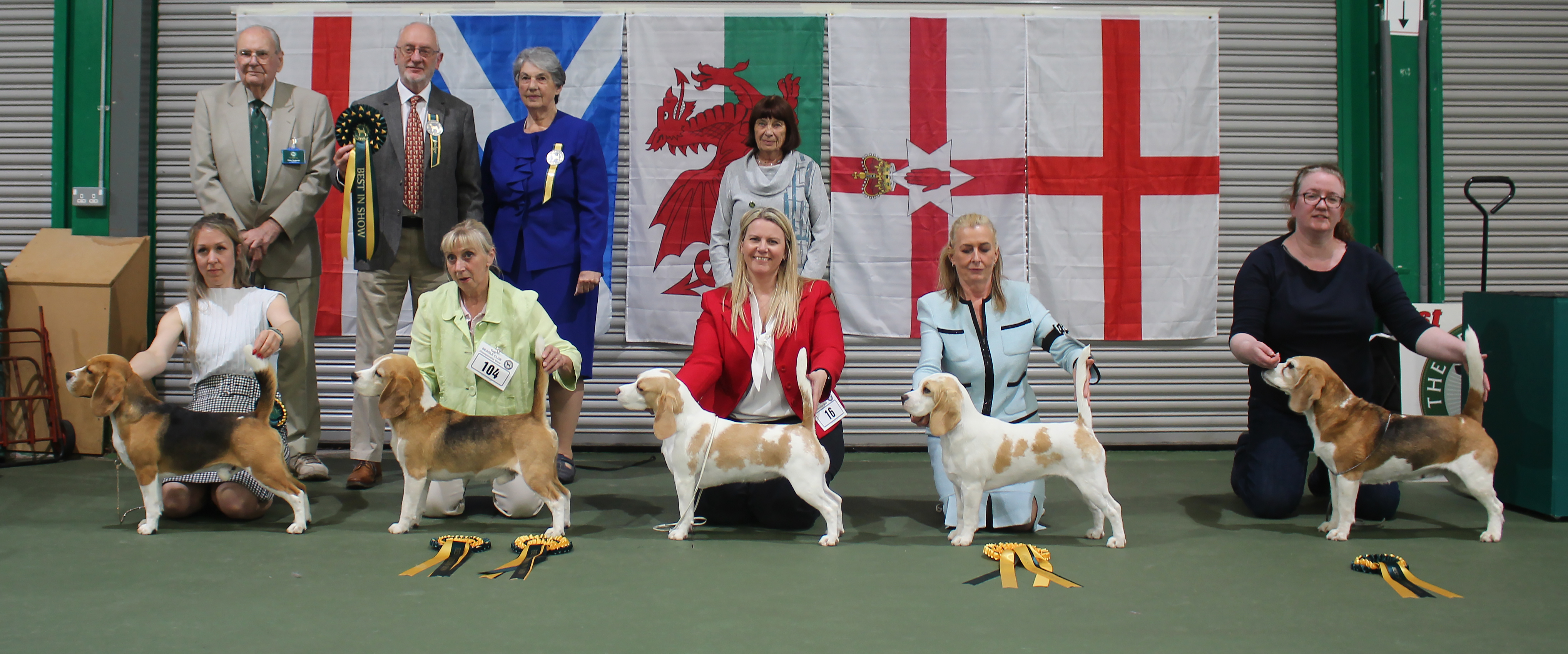 Championship Show Results: 7th June 2026 – THE BEAGLE CLUB
