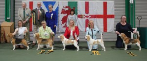 Championship Show Results: 7th June 2026 – THE BEAGLE CLUB